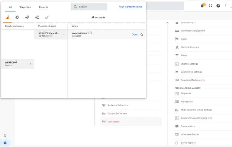 Furnizare acces la contul Google Analytics - Webecom.ro